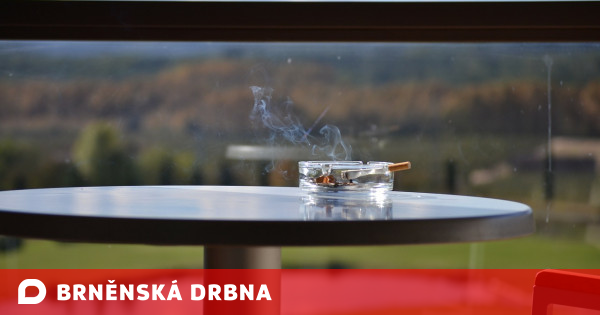 Linka 156 je v Brně přetížená. Lidé například žalují na své sousedy, že ...