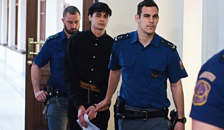 Mladík, který v Brně zavraždil ženu a pobodal dva lidi, dostal přes ...