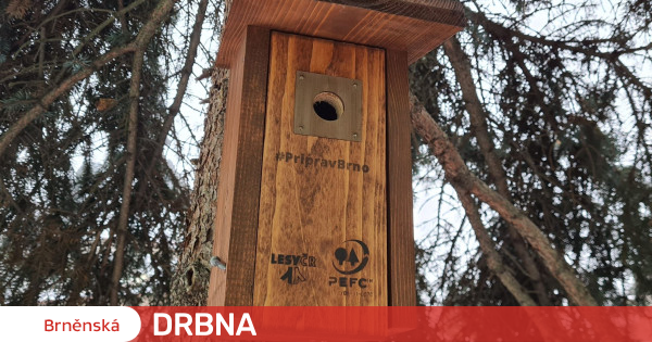 Kdepak ty ptáčku hnízdo máš? V jedné z nově vyvěšených budek přece