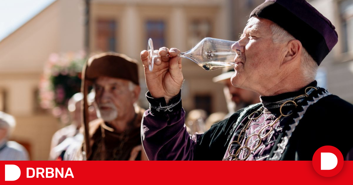 Znojemské historické vinobraní 2025: Když se víno potká s historií
