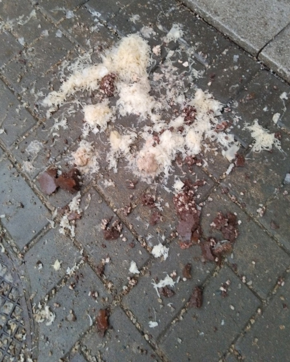 Jsem agentka FBI, tvrdila šedesátnice z Brna. Z okna vrhala krouhané zelí